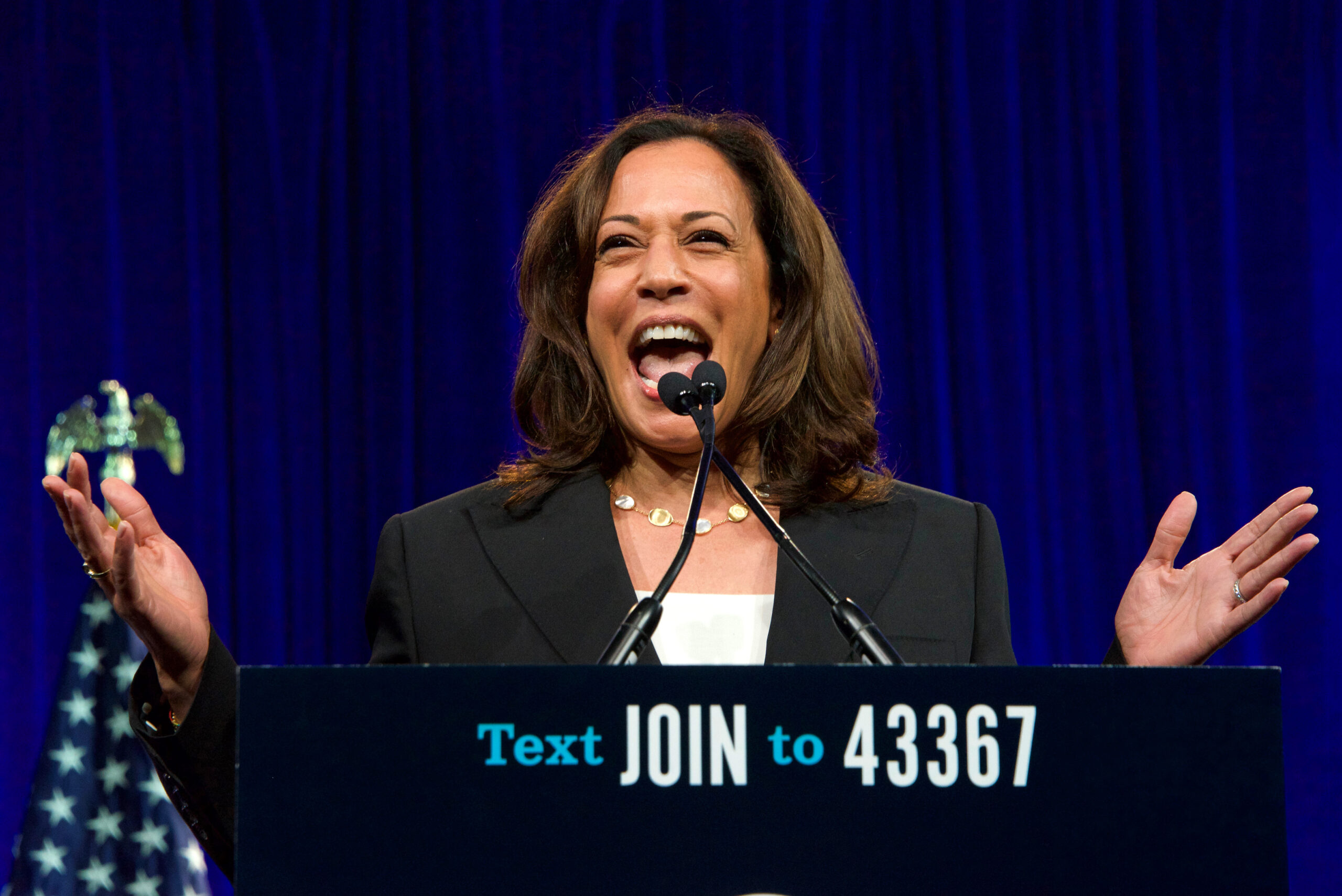 Donations Managers Doesn’t Believe Kamala Harris Can Win The 2024 ...